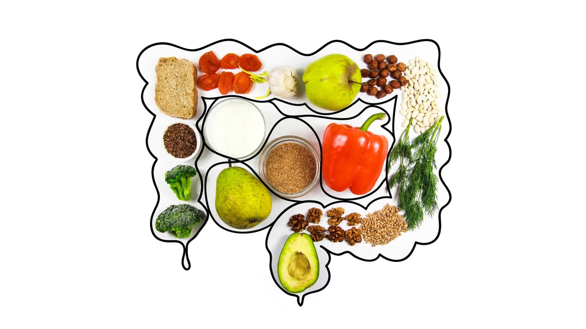 DIGESTION TIMES IN NUTRITION - HEALTHY LIFESTYLE